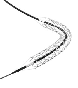 Genoss Stent DES - Wellgo